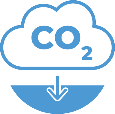 NET4CO2 – Network for a Sustainable CO2 Economy
